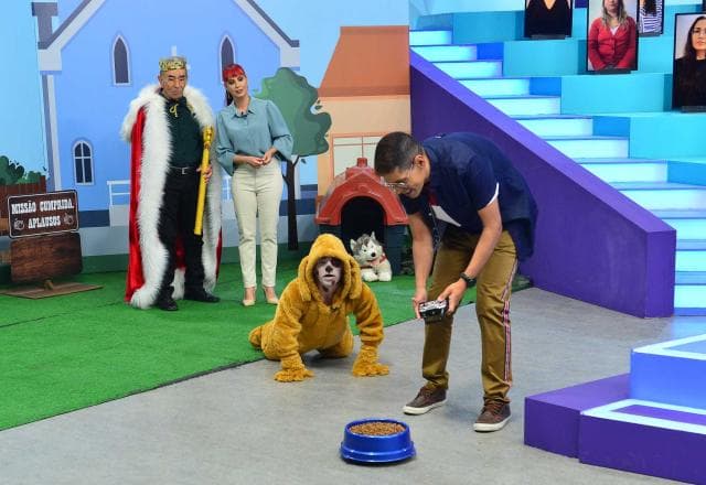 SBT TV | Programa Câmeras Escondidas especial com animais traz ...